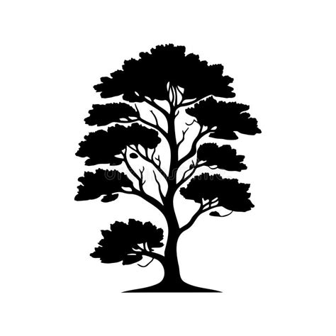 Fagus Sylvatica Icon Hand Draw Black Colour Tree Logo Symbol Perfect