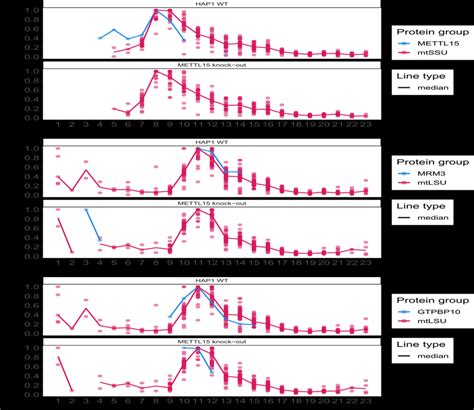 Qualitative Profiling Of The Human Mitoribosome Subunit And Interacting