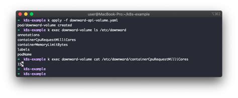 Kubernetes 의 Downward Api Sunghos Blog