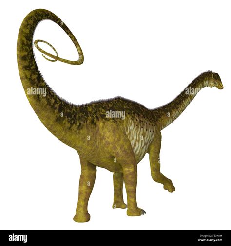 Nigersaurus Hi Res Stock Photography And Images Alamy