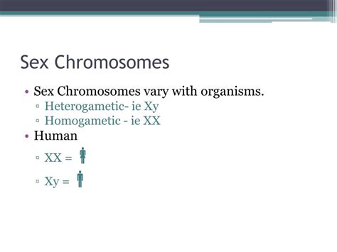 PPT Chromosomal Basis Of Inheritance PowerPoint Presentation Free Download ID 3214009