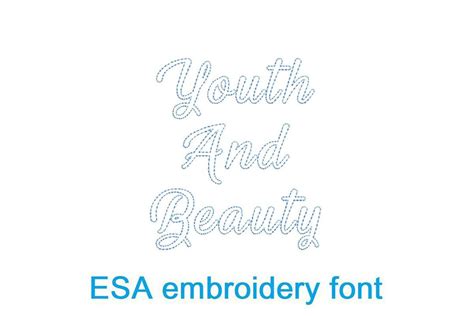 Youth And Beauty Bean Stitch Outline Esa Embroidery Font Mha Etsy