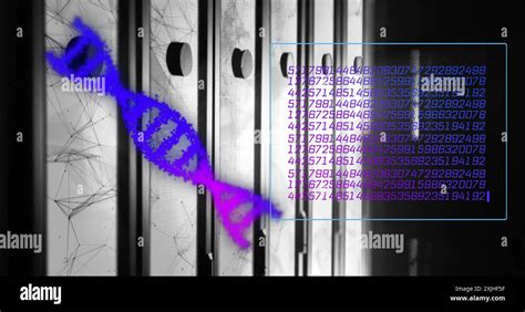 Image Of Dna Strands With Data Processing And Network Of Connections Over Server Room Stock