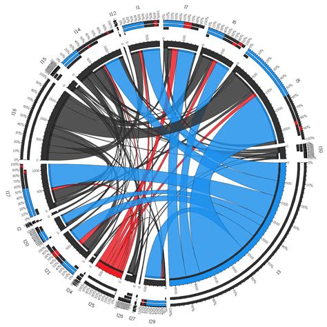 Circos An Amazing Tool For Visualizing Big Data