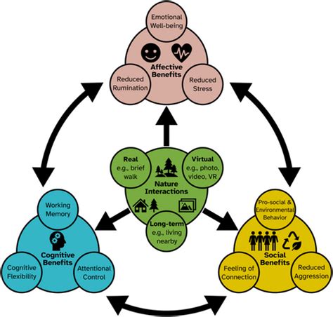 The Affective Cognitive And Social Benefits Of Interacting With Nature Rim Journal Of