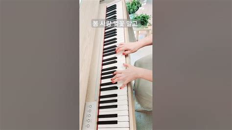 봄사랑벚꽃말고 아이유 High4 아이유하이포 봄노래 Pianocover Springsong Youtube