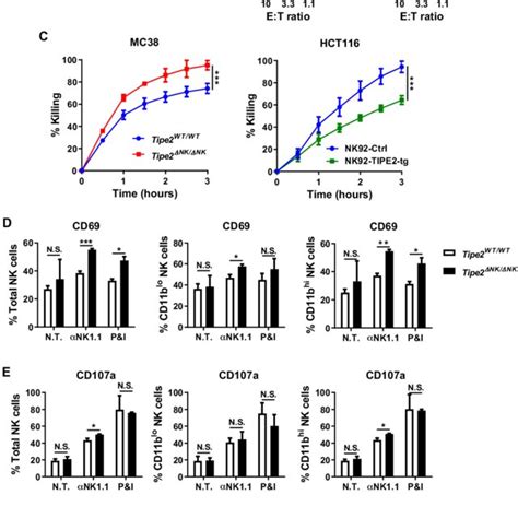 Nk Specific Tipe2 Deficiency Promotes Nk Cell Antitumor Functions A