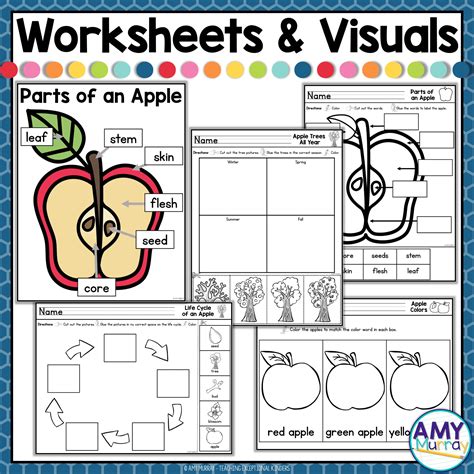 Apple Life Cycle Worksheets And Seesaw Activity Kindergarten