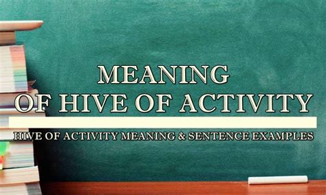 Hive Of Activity Meaning And Sentence Examples