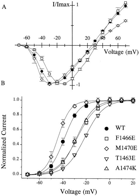 A Current Voltage Relationship I V Of WT And Selected Mutants Download Scientific Diagram