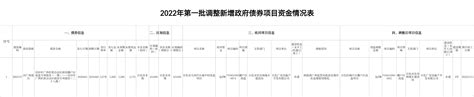 新增政府债券资金用途调整信息公开广西百色开发投资集团有限公司