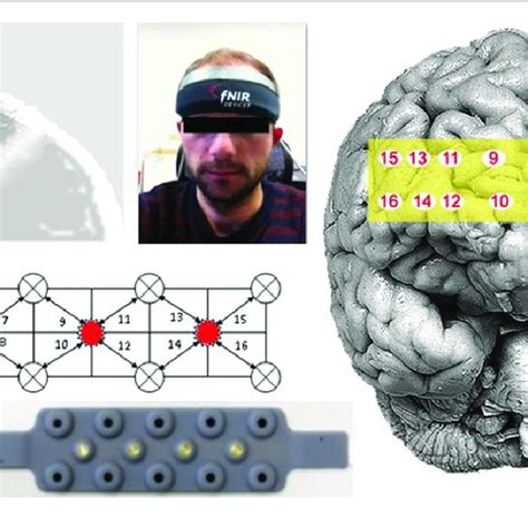 The Functional Near Infrared Spectroscopy Fnirs Probe With Four Download Scientific Diagram