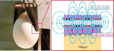 Soft Compliant Gripper For Safe Manipulation Of Extremely Fragile Objects