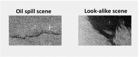Sample oil spill and look-alike image from dataset | Download Scientific Diagram