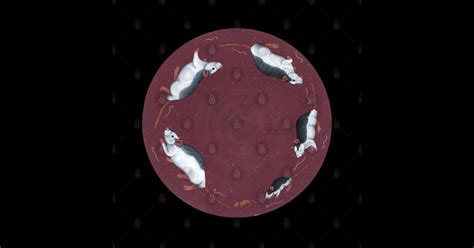 Rat Wheel Rat Sticker TeePublic