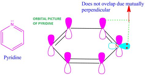 Why Is Pyridine More Basic Than Pyrrole And Why Phenols Are More Acidic