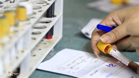 الداخلية تفتّش عن متعاطي المخدرات بين السائقين في الشلامجة وكالة
