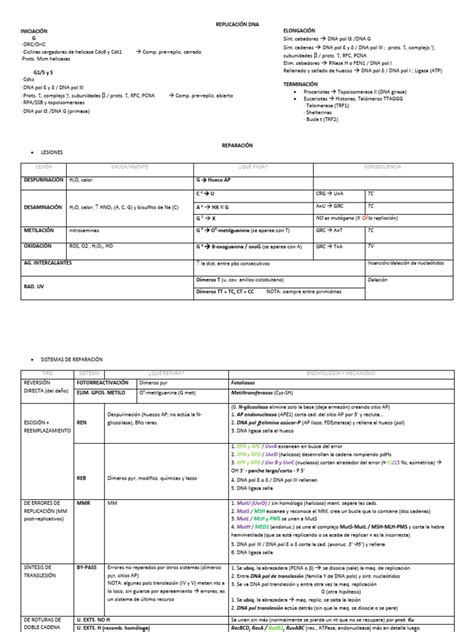 Resumen BiologÍa Molecular Con Enzimas Y Sus Procesos Camila Pdf