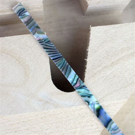 Abalone Shell Celluloid Binding