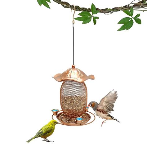 Squirrel Repellent Bird Feeder