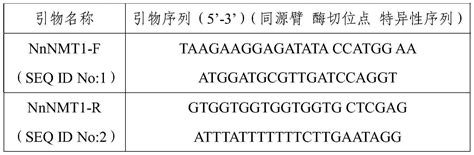 荷叶苄基异喹啉生物碱n 甲基转移酶及其编码基因在荷叶碱生物合成中的应用