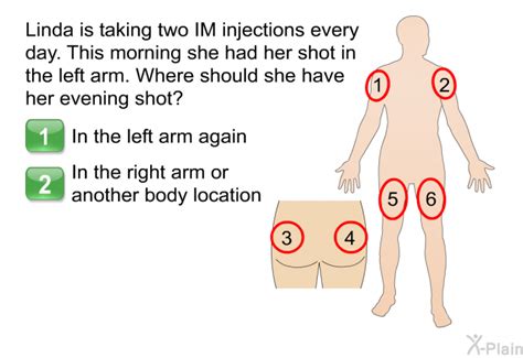 PatEdu Com Intramuscular Injection