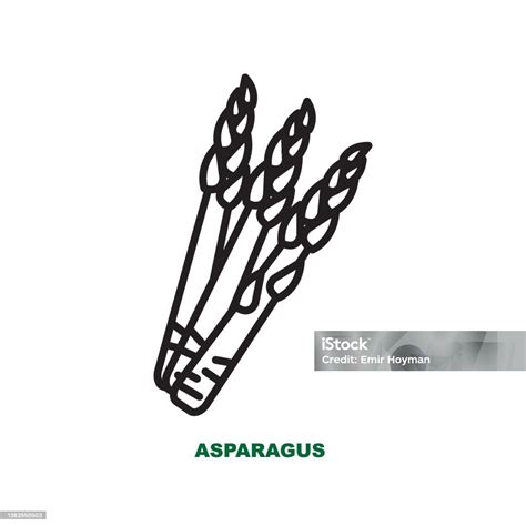 아스파라거스 아이콘 야채 디자인 농장 제품의 벡터 일러스트 0명에 대한 스톡 벡터 아트 및 기타 이미지 0명 2022년 건강관리와 의술 Istock