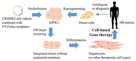 Gene Therapy Hemophilia