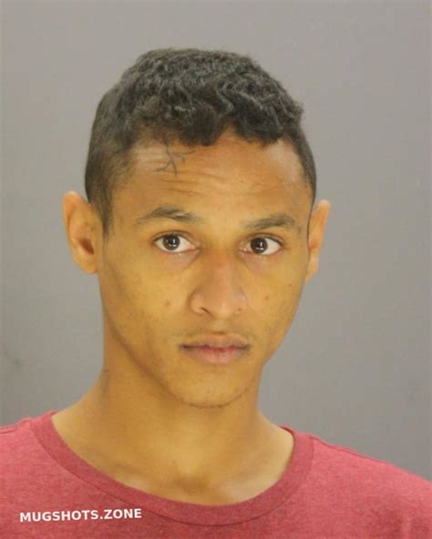 Chesnut Xavier 03252025 Dallas County Mugshots Zone