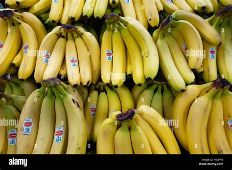 Del Monte Bananas