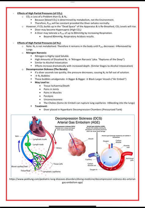 Respiratory System Notes Respiratory System 🫁🫁 Follow For