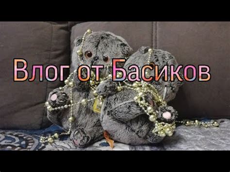 Влог от Басиков беби / Басик беби / Влог с Басиком / вечер с Басиком ...