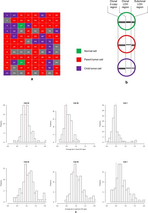 Results Of Single Cell Validation Experiments A Predicted Cell Download Scientific Diagram