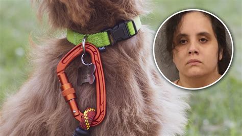 24horascl Madre Fue Arrestada Por Obligar A Su Hijo A Usar Un Collar