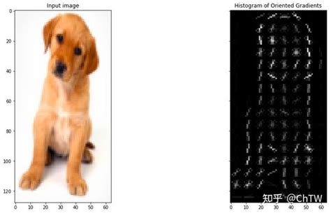 图像特征工程：hog 特征描述符的介绍 知乎