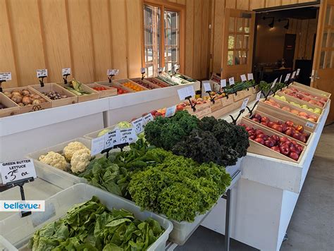 Mercer Slough Produce Stand And Blueberry Farm Bellevue Attractions