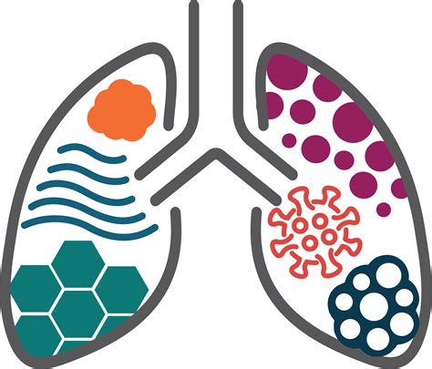 Copd Lung Icon