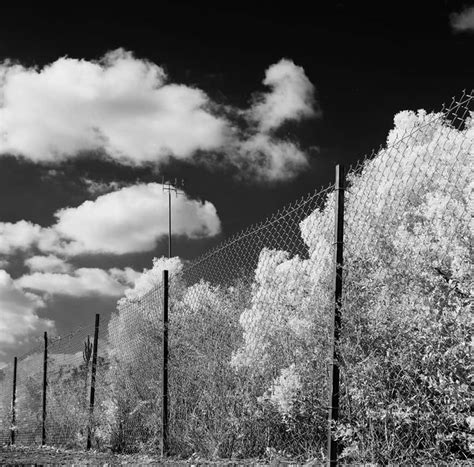 The World Of Infrared And Red Sensitive Black And White Film Shoot It