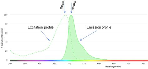 The Power Of A Spectra Viewer For Experimental Design Nanocellect