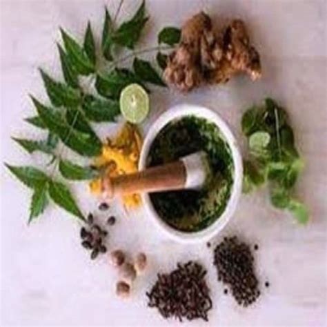 10am To 6pm Bams Direct Admission In Bums Bachelor Of Unani Medicine