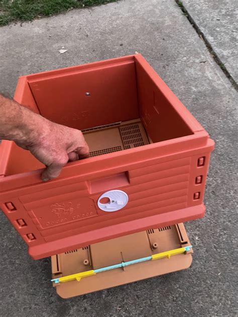 Poly Hive Plastic Hive