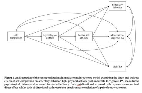 An Illustration Of The Conceptualized Multi Mediator Multi Outcome