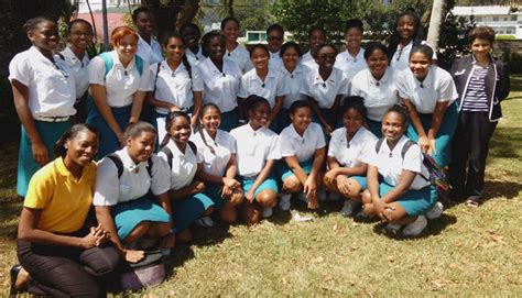 Alpha Alive At Sjcsj Catholictt