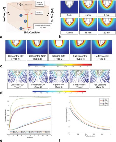 A The Simulation Setup For The Diffusion Model Consists Of Download Scientific Diagram
