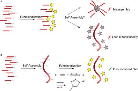 Pre Assembly Functionalization Versus Post Assembly Functionalization Download Scientific