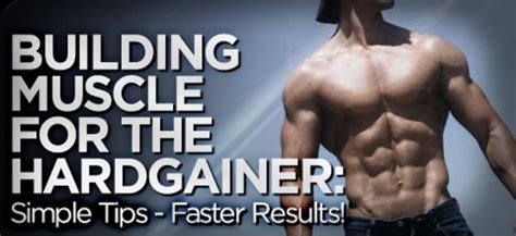 Building Muscle For The Hardgainer Simple Tips Faster Results