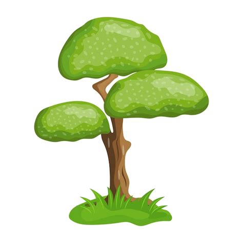 Premium Vector A Spruce Tree Flat Illustration Vector