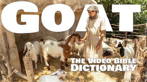 Goat The Video Bible Dictionary YouTube