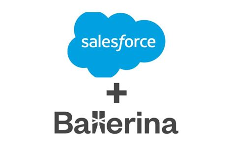 Arshika Mohottige On Linkedin Seamless Salesforce Integration With