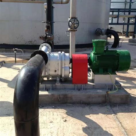 The Ultimate Guide To Rotary Lobe Pumps Yaness